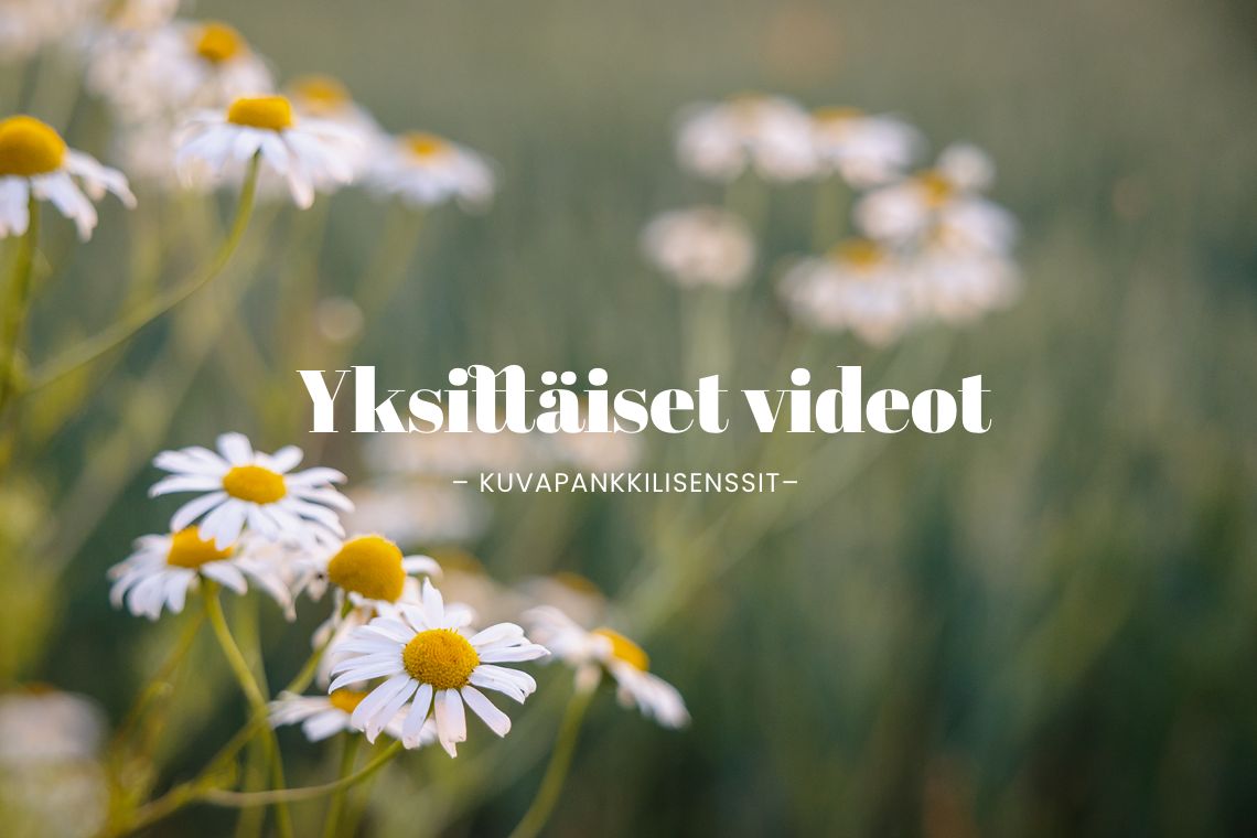 Stock-luontovideot | kuvapankki | Luontovideo.fi